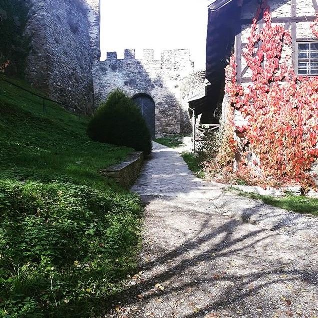 Schloss Ruegers und Burg Hardegg | Busreisen.cc