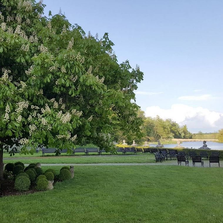 Schloss Ruegers und Burg Hardegg | Busreisen.cc